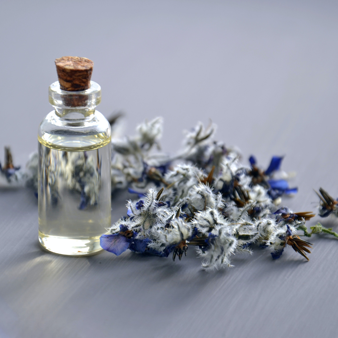 Fragrance Notes Explained: Everything You Need to Know – Scent Kulture